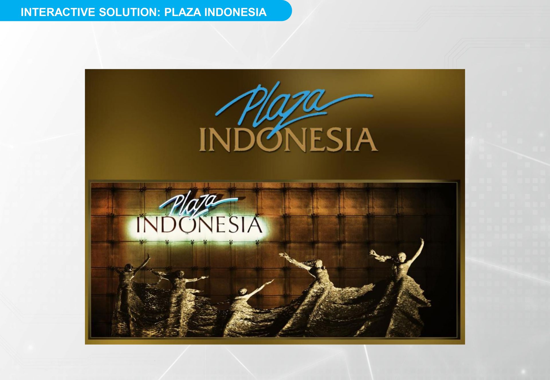 Interactive Solution | Innograph.com